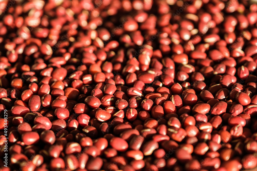 Adzuki beans or red mung bean, is an annual vine widely cultivated ...