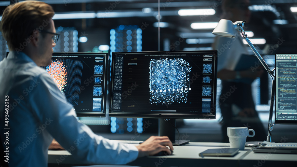 Professional IT Technical Support Specialist and Software Developer Working on Computer with ...