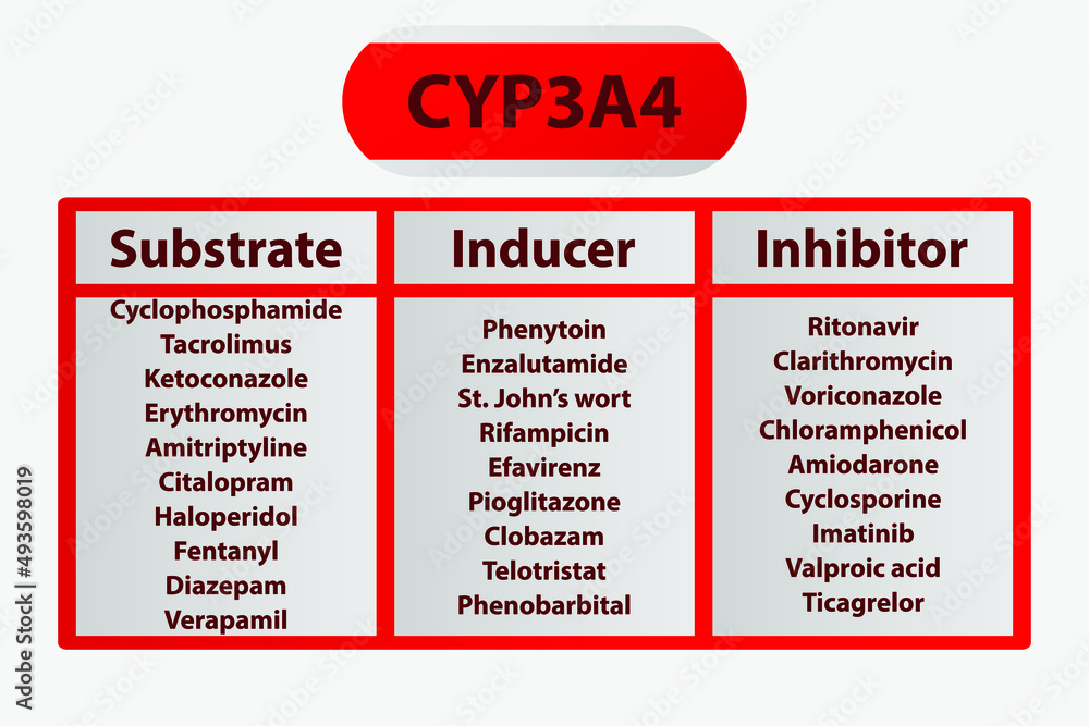 CYP3A4 Cytochrome p450 enzyme pharmaceutical substrates, inhibitors and ...