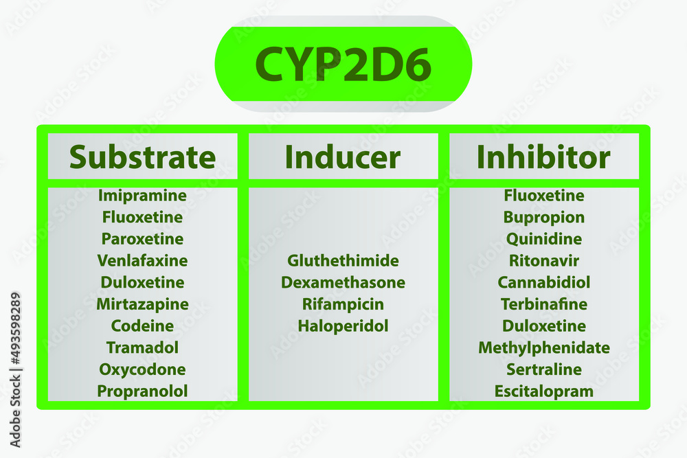 CYP2D6 Cytochrome p450 enzyme pharmaceutical substrates, inhibitors and ...
