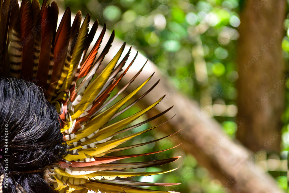 indigenous headdress with yellow feathers, Indian's day, Carnival ...