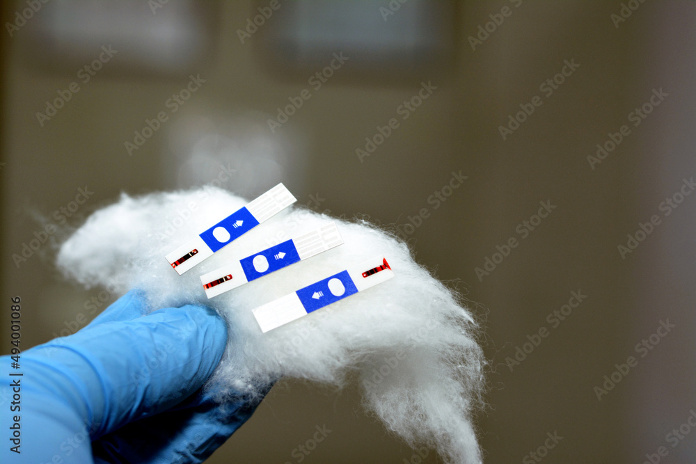 Used blood glucose rapid electronic test strips with blood inside its ...