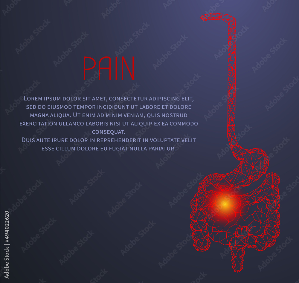 Polygonal stomach and intestines. Medical research of internal organs ...
