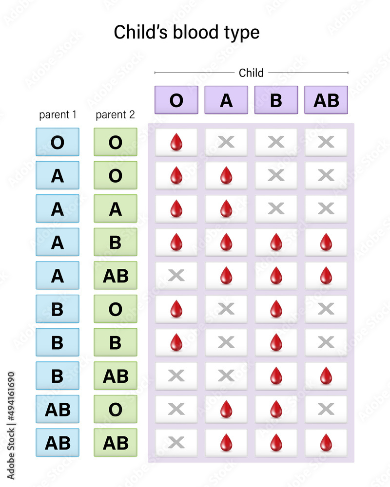 Child's blood type table. Baby blood type for medical and educational ...