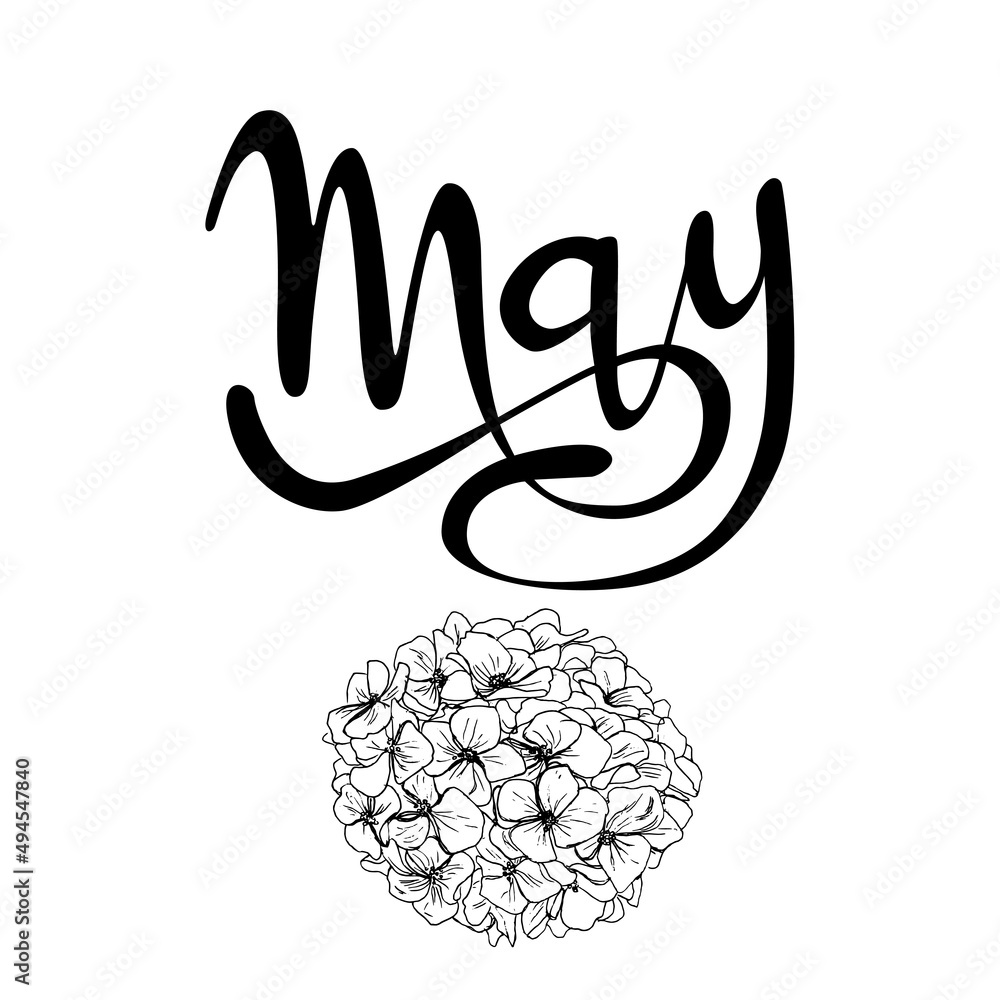 Letrero de letras escritas a mano y vectorizado "may". Recurso grafico ...