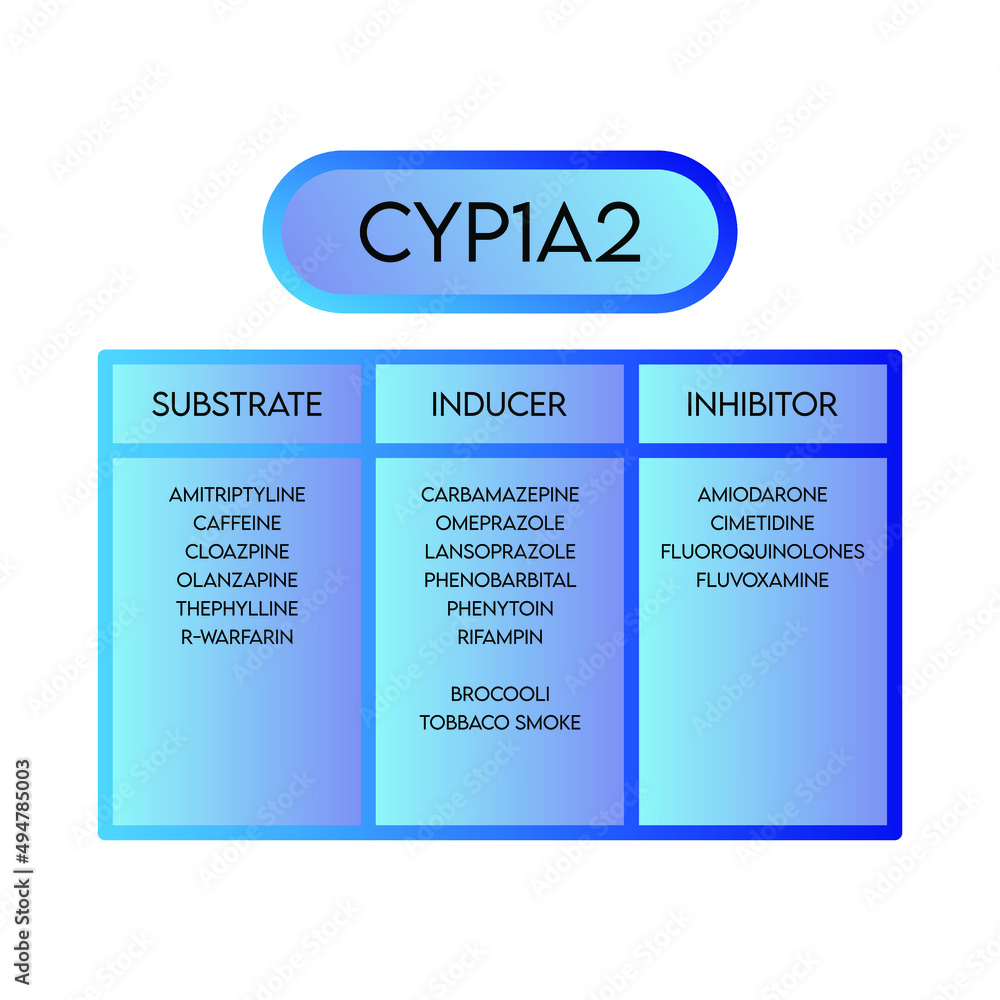 CYP1A2 Cytochrome p450 enzyme pharmaceutical substrates, inhibitors and ...