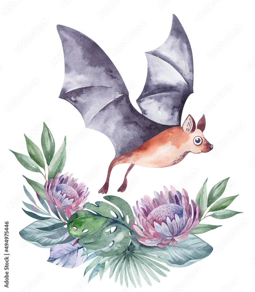 Flying fox, tropical flowers. Watercolor illustration. Australian wild ...