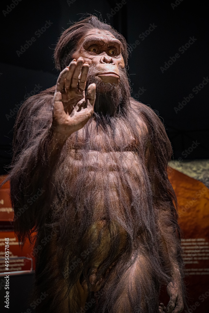 Bangkok, Thailand - November 13 2020: Australopithecus at Rama9 museum ...