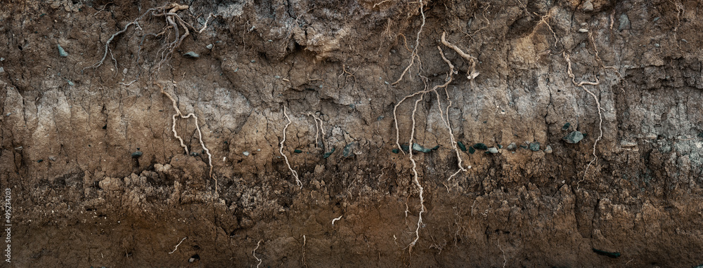 Underground earth texture, cross section of soil layers panorama Stock ...