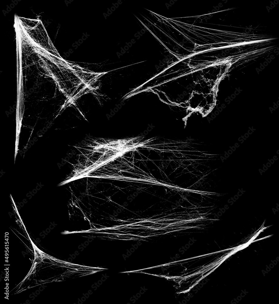 Overlay the cobweb effect. A collection of spider webs isolated on a black background. Spider ...