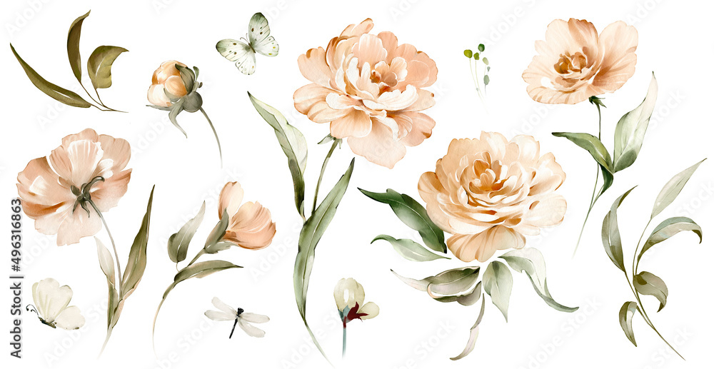 Set watercolor pink flowers, garden roses, peonies. collection leaves ...