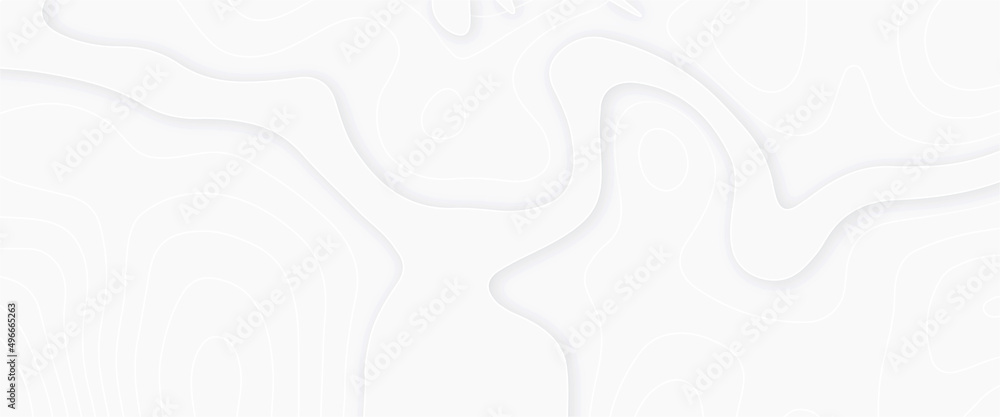 The stylized height of the topographic map in contour, lines. Torn ...