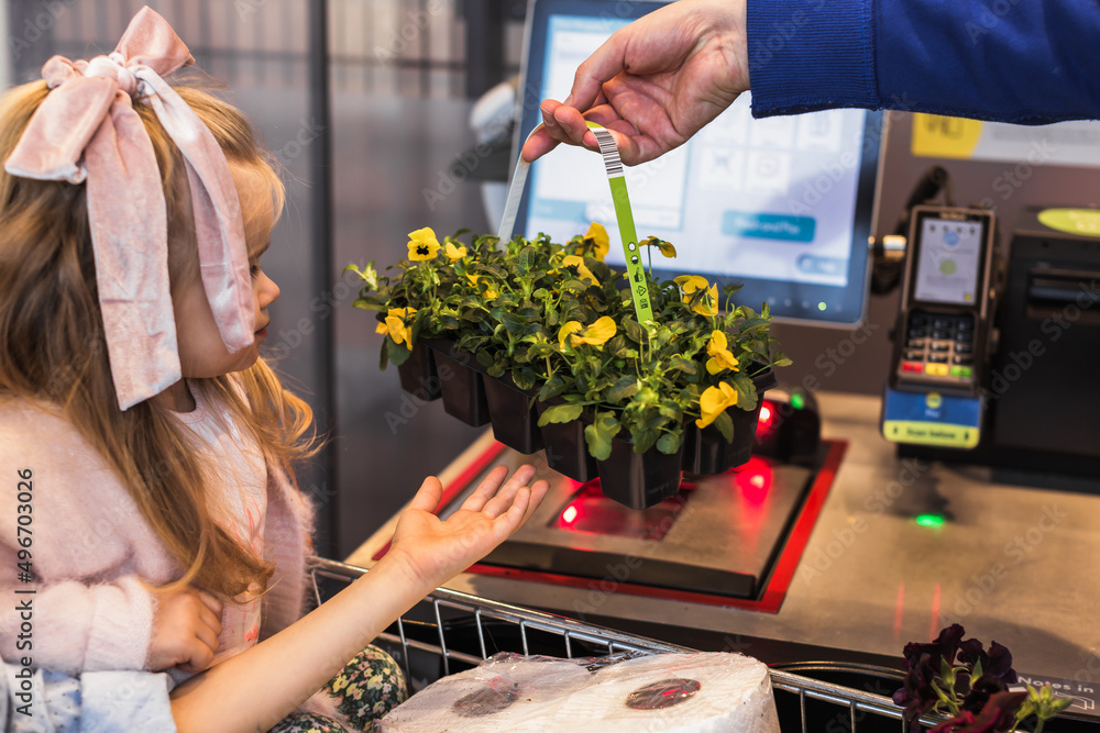 Little girl buying a flower plant in supermarket, at background cash ...