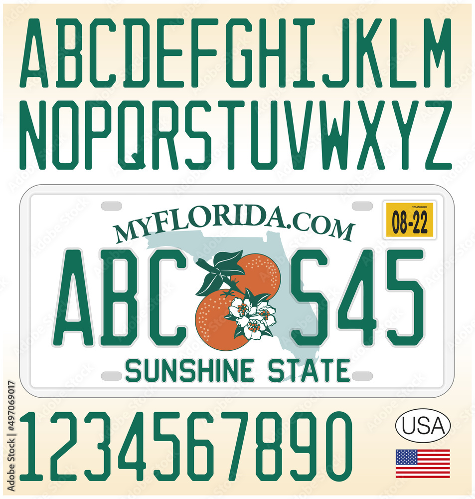 Florida License car plate pattern design, with numbers, letters and ...
