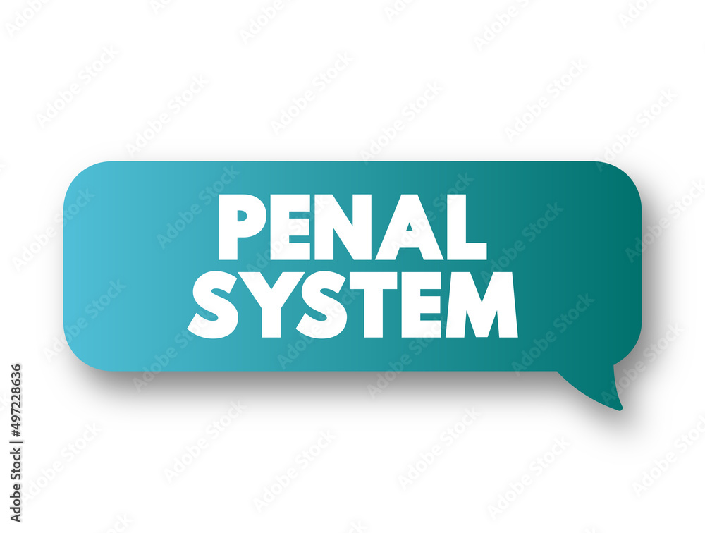 Penal system - network of agencies that administer a jurisdiction's ...
