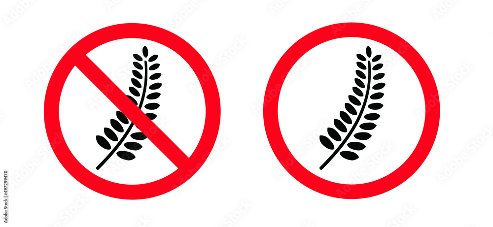 No wheat. Gluten ( coeliakie ) is a mixture of proteins that occurs ...