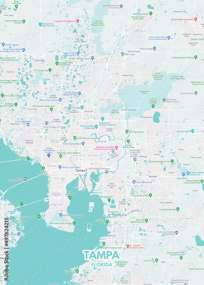 Poster Tampa - Florida map. Road map. Illustration of Tampa - Florida ...
