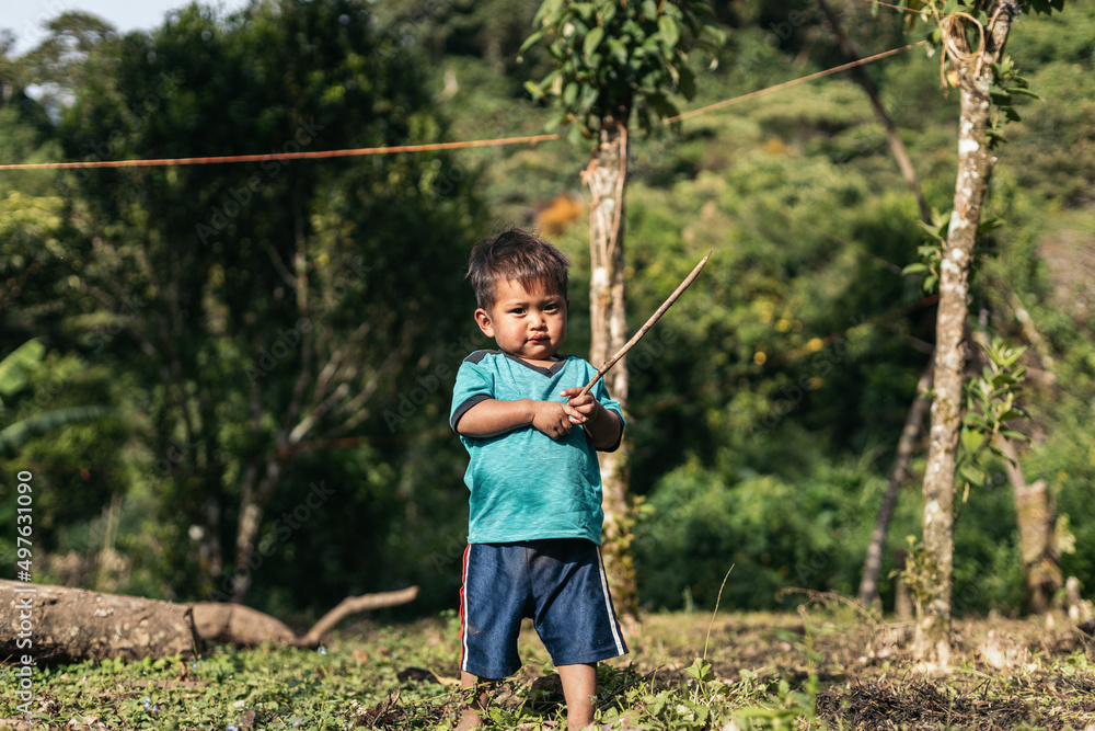 Portrait of a little native boy with a stick Stock Photo | Adobe Stock