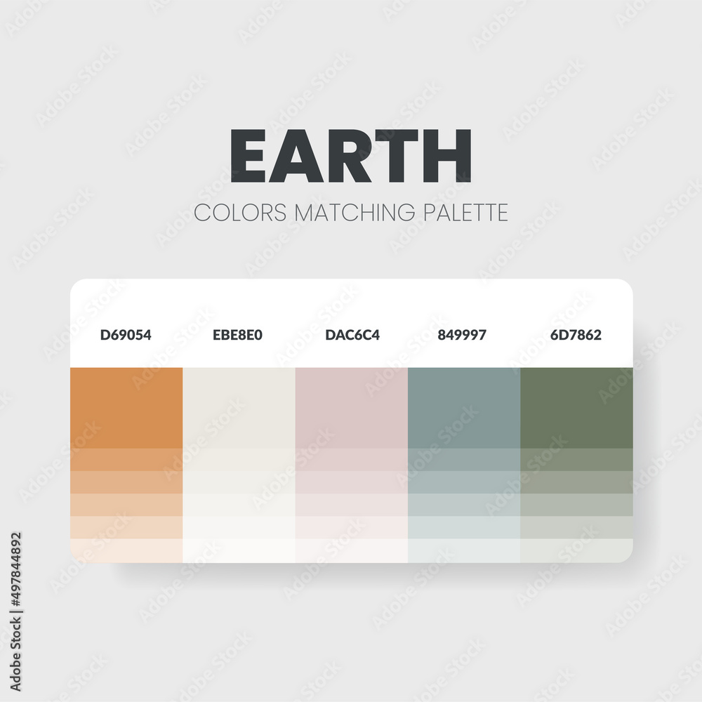 Earth Tone Color Palette Hex Code - Infoupdate.org
