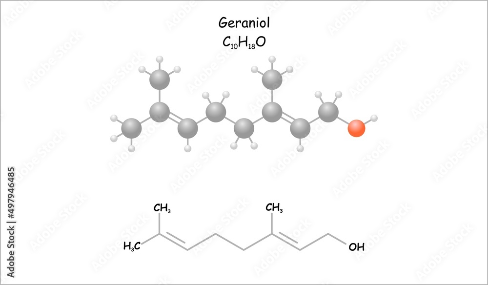 Stylized molecule model/structural formula of geraniol. pheromone and ...