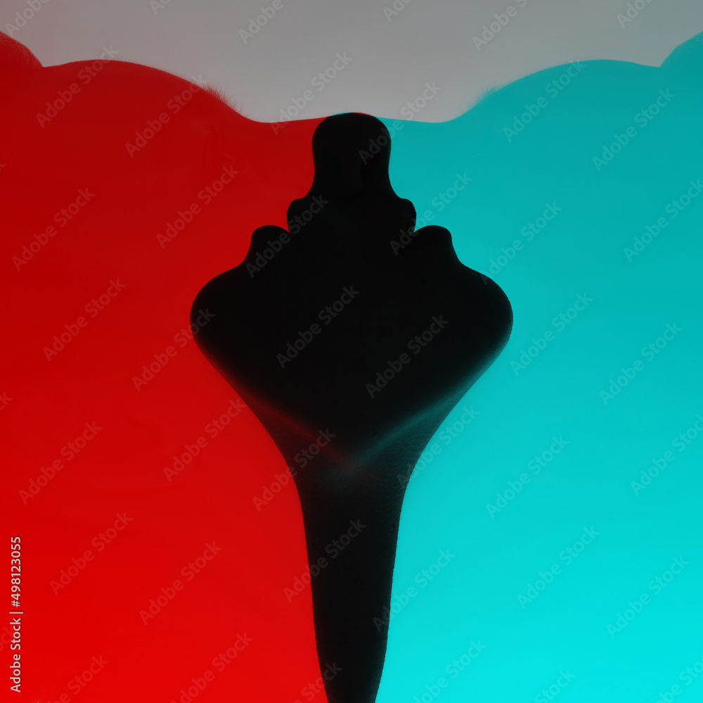 Woman black face silhouette in red and blue color channel split mixed ...