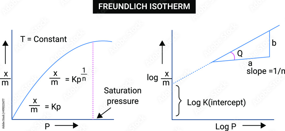 Freundlich isotherm Stock Vector | Adobe Stock