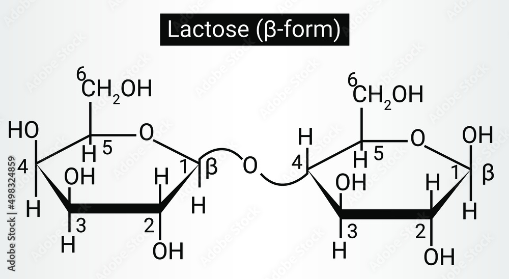 Structure of Lactose (β-form) Stock Vector | Adobe Stock