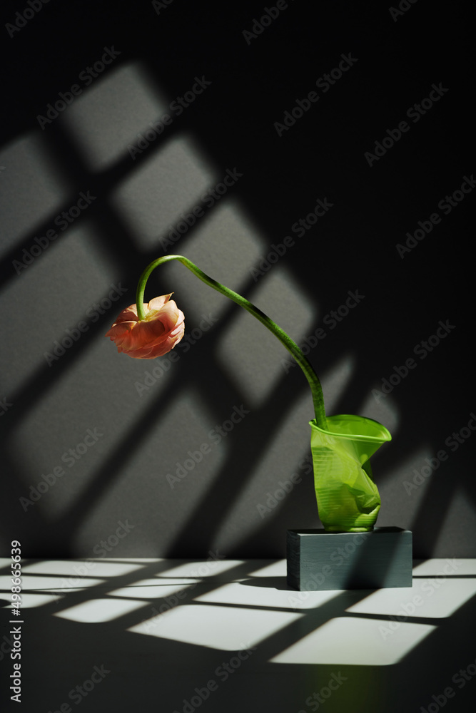 Vertical contemporary still life shot of fresh flower slowly withering ...