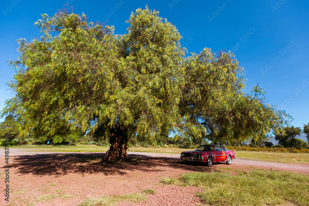 View of the pyramids of Teotihuacan, ancient city in Mexico, located in ...