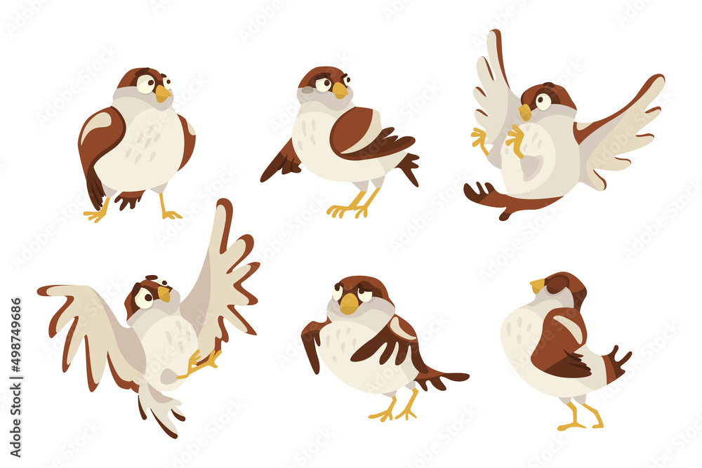 Cute sparrow in different poses cartoon illustration set. Funny small ...
