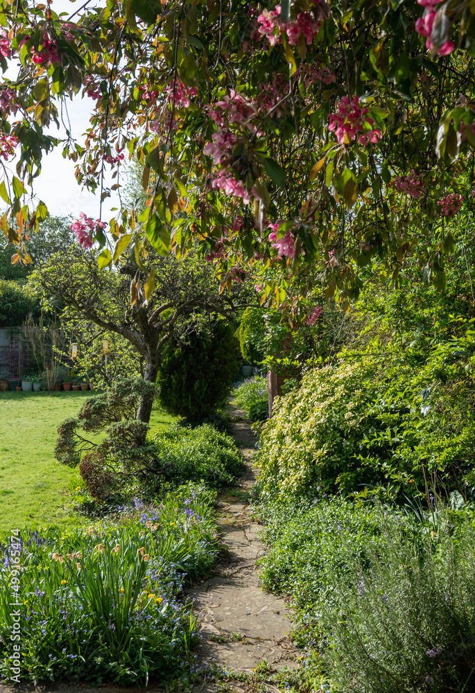 Slightly neglected, overgrown, secluded, messy suburban garden with ...