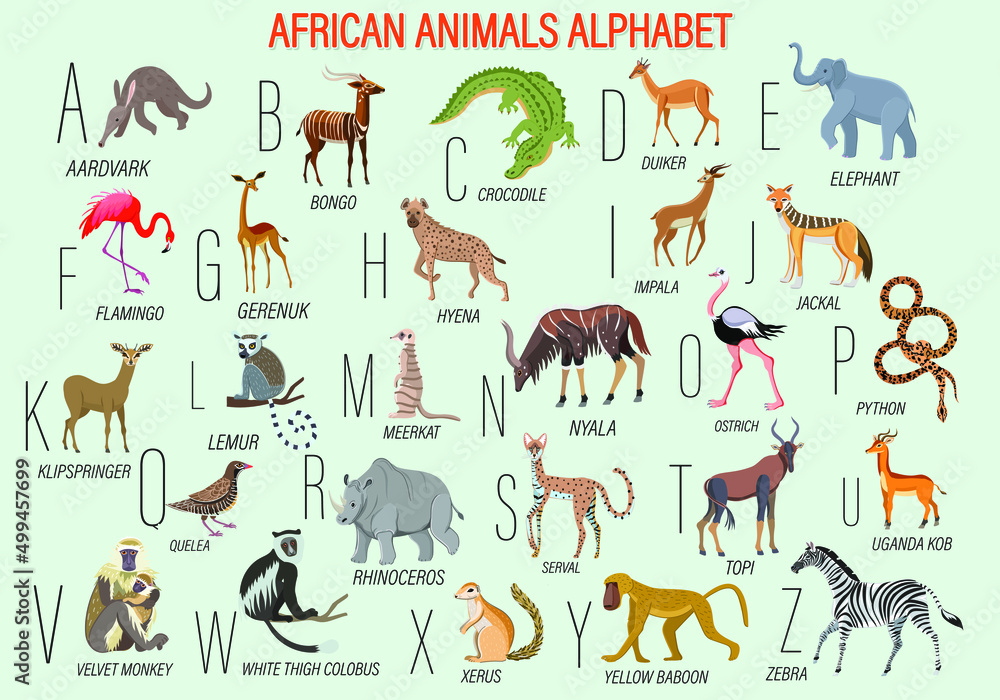Vector de Stock Large collection of African animals. African animals ...