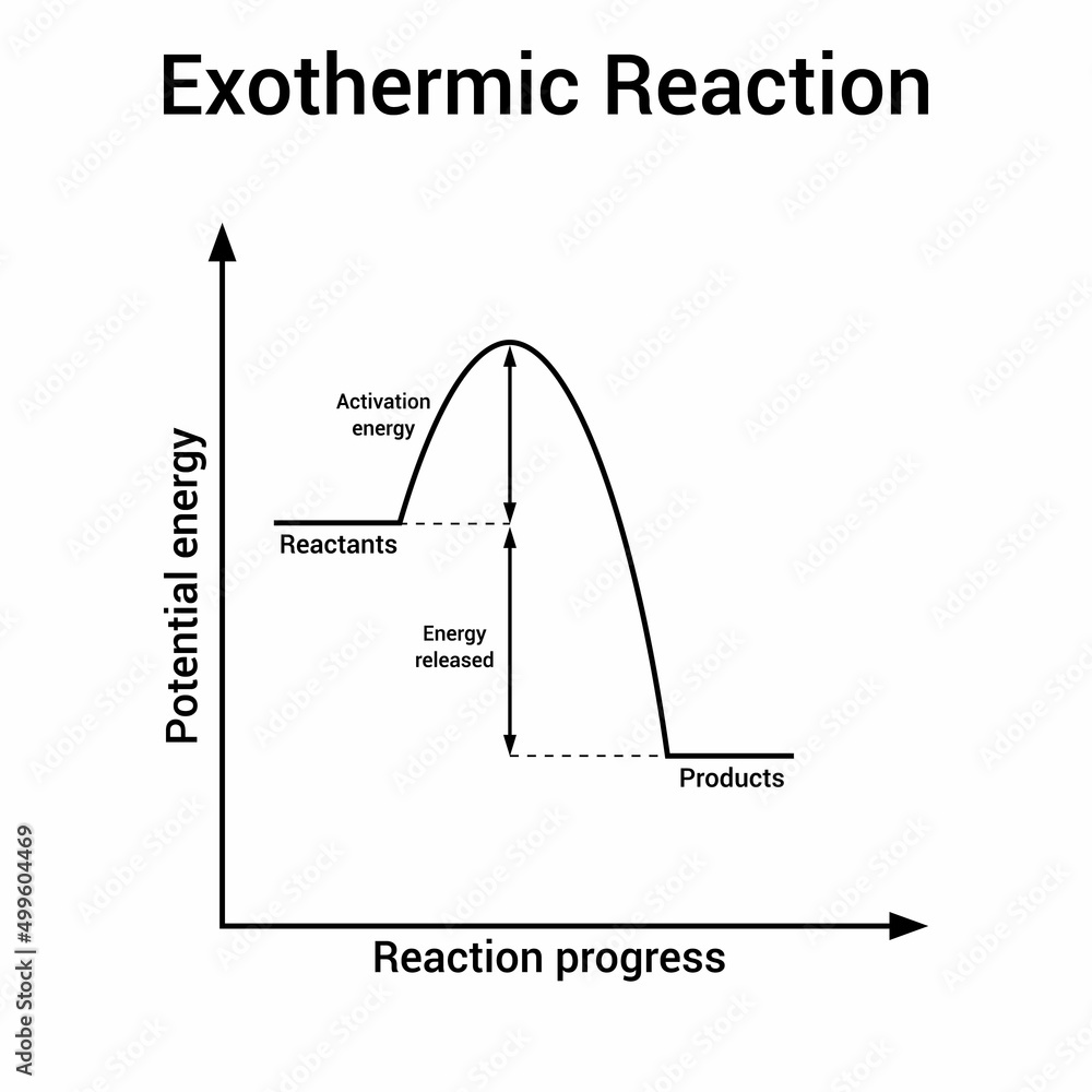 exothermic reaction graph in chemistry Stock Vector | Adobe Stock