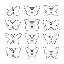 Butterfly Art Illustration Free Stock Photo - Public Domain Pictures