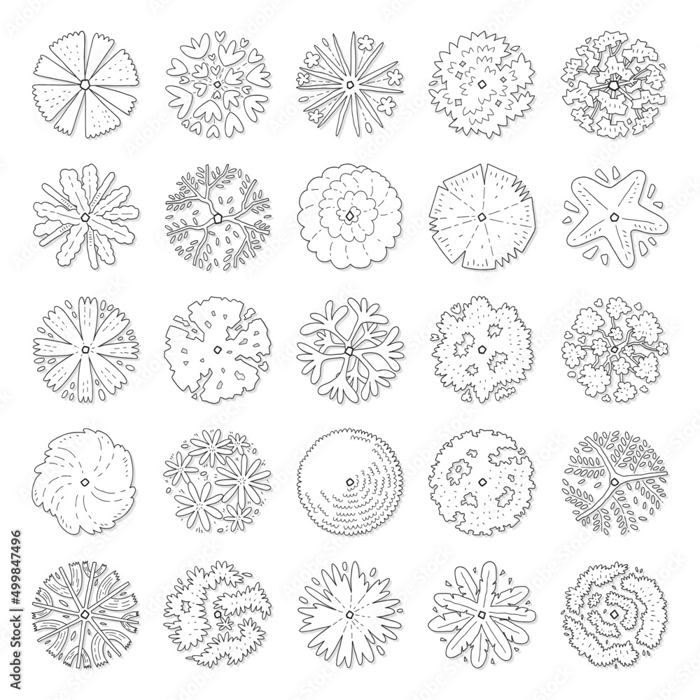 Hand drawn vector set of top view trees. Stock Vector | Adobe Stock