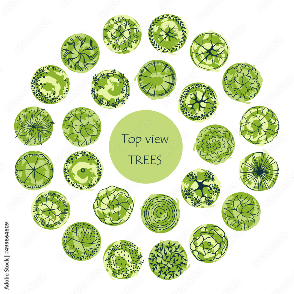 Trees for the master plan. Tree for architectural floor plans ...