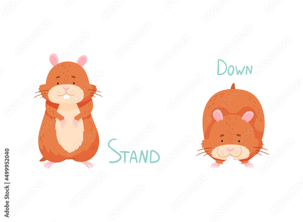 Cute hamster demonstrating English preposition of place and verb. Stand ...