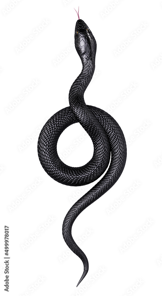 Black Snake isolated on White Background. 3D illustration Stock Photo ...