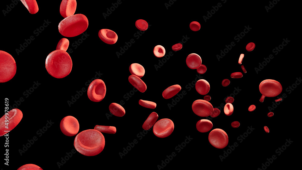 Red blood cells, illustration Stock Photo | Adobe Stock