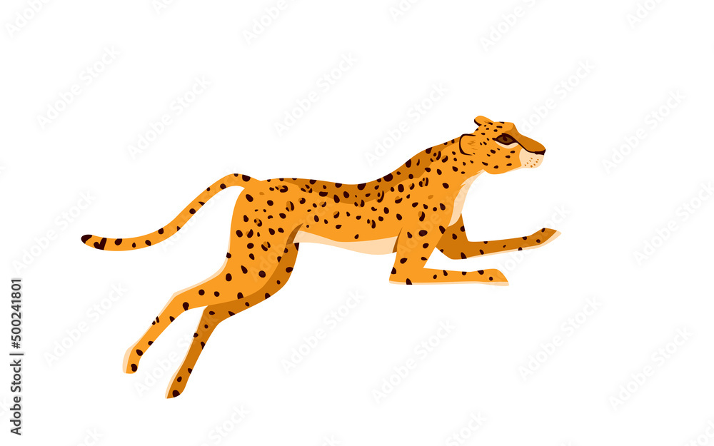 Leopard running on African savannah vector illustration. Cartoon wild ...