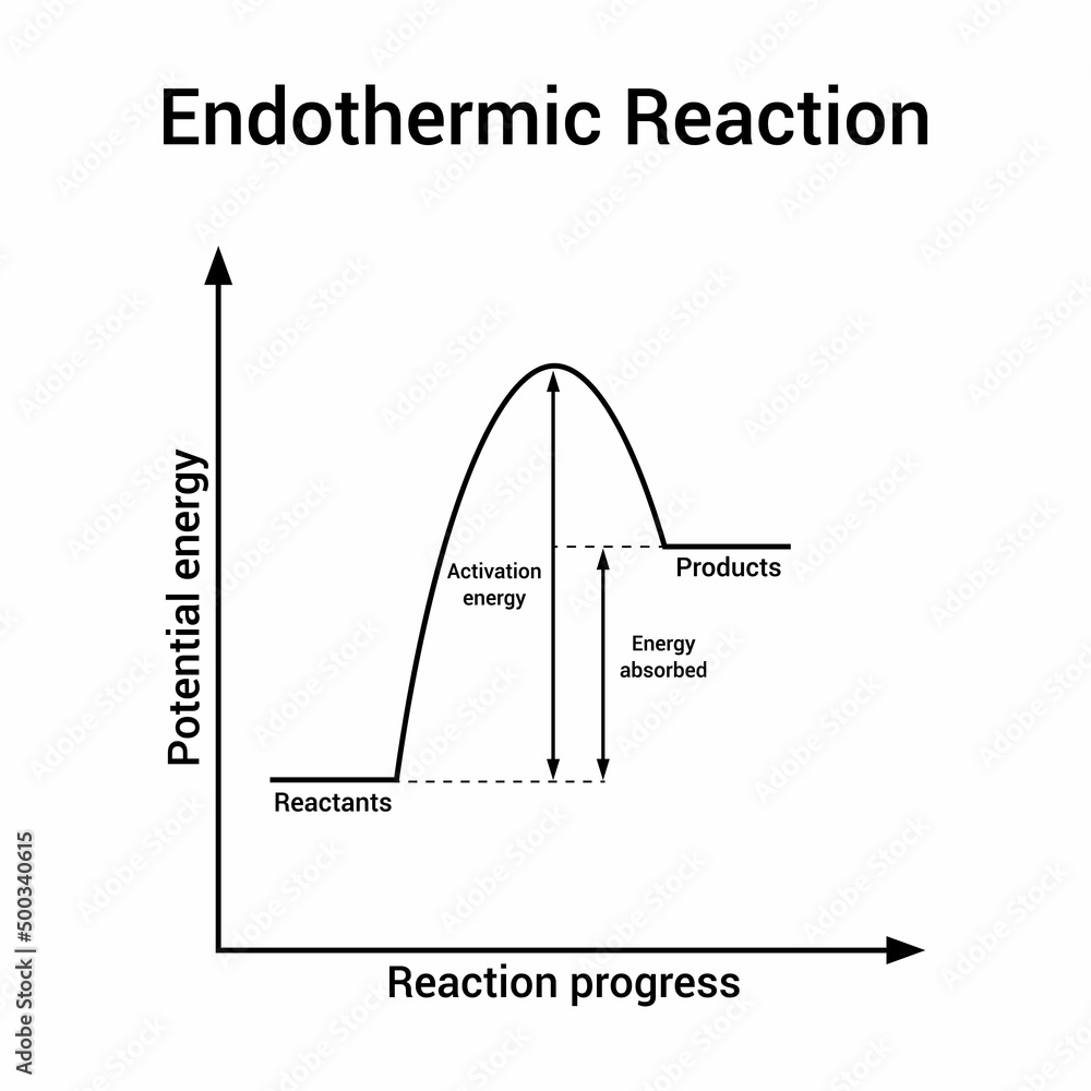 endothermic reaction graph in chemistry Stock Vector | Adobe Stock