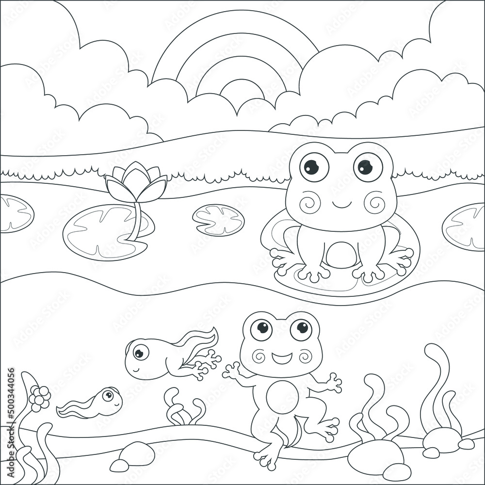 Frog Life Cycle Coloring Sheet Coloring Pages