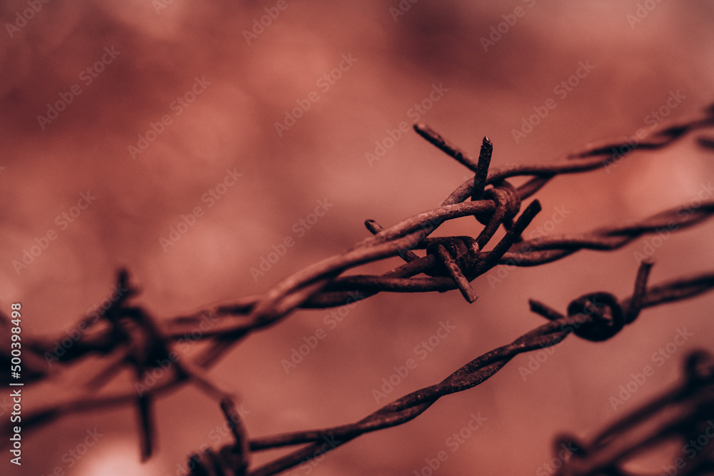 Barbed rusty wire spiral security barrier, prison fencing. Stock Photo ...