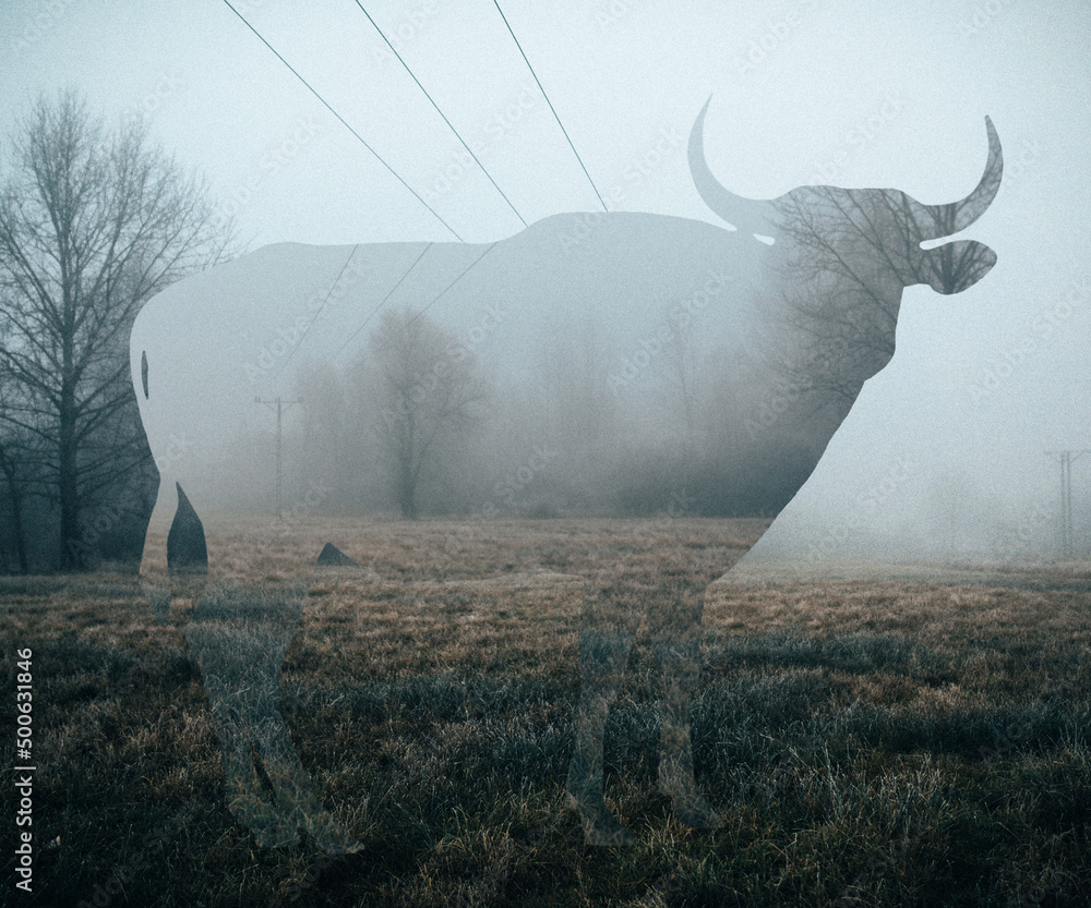 Bull Outline. Silhouette. Background Blend. Stock Illustration | Adobe ...