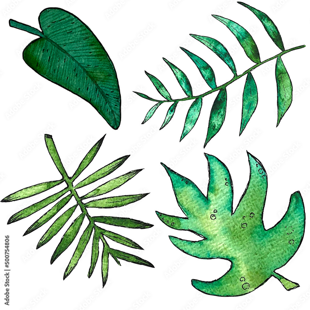 Green tropical leaves clip art set. Isolated elements on a white ...