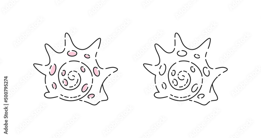 Seashell icon linear vector. Apple murex shell logo symbol set in color ...
