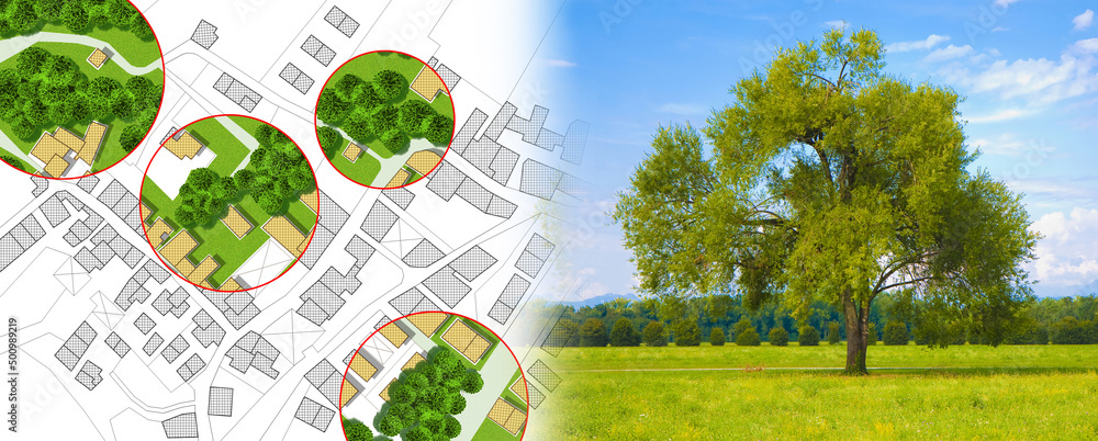 Census of trees in cities - green management and tree mapping concept ...