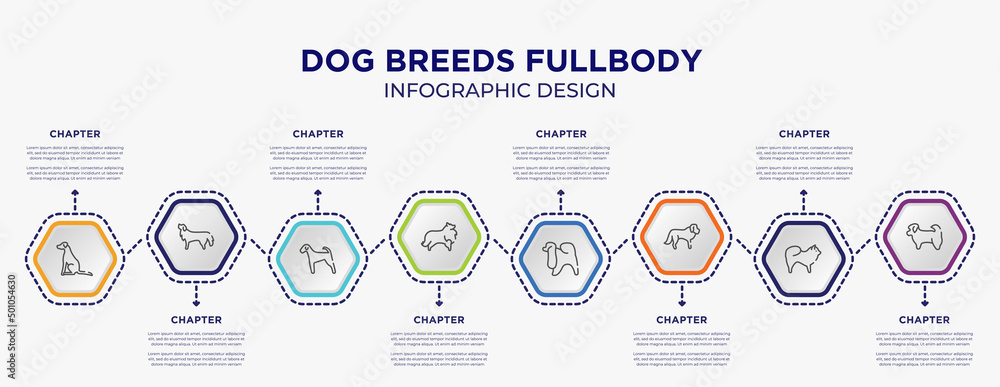 dog breeds fullbody concept infographic template with 8 step or option ...