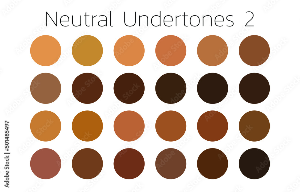 Collection Color palette, swatch color palette, Flat vector ...