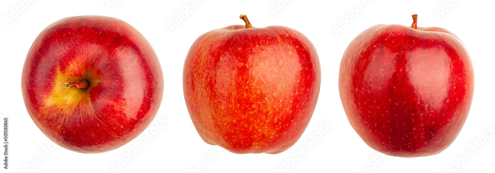 Red apple, top and side view. Red apple with tail isolated on white ...